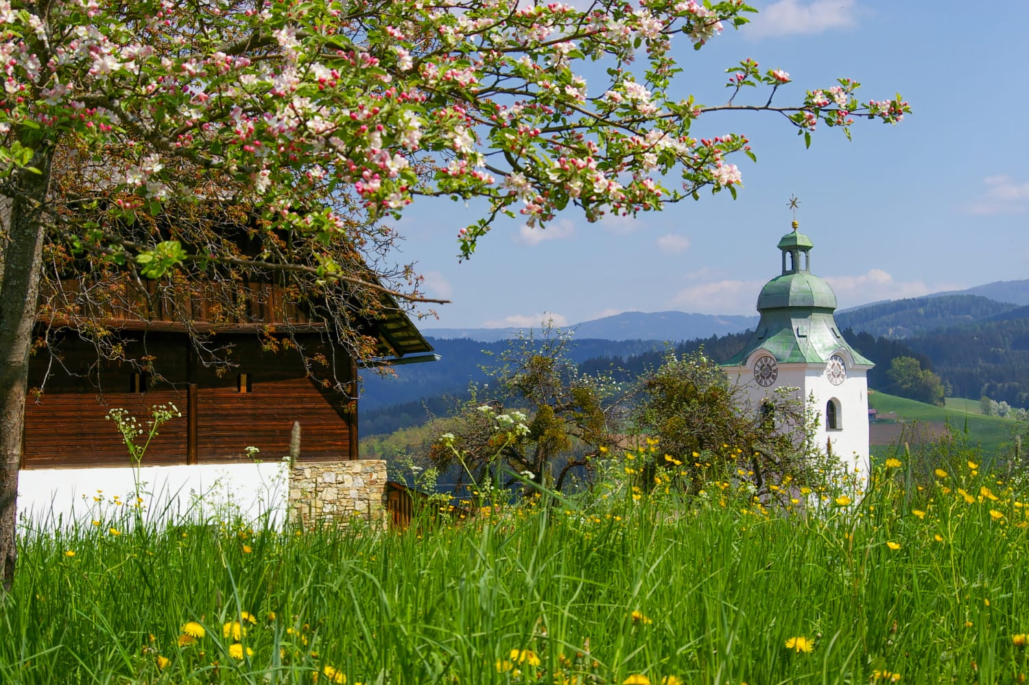 Gemeinde Kappel am Krappfeld – Gemeindehomepage